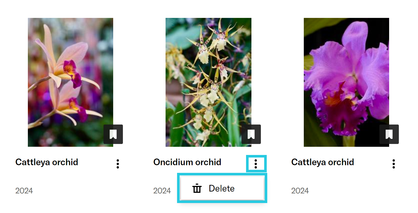 Workspace: Uploading Items – JSTOR Support